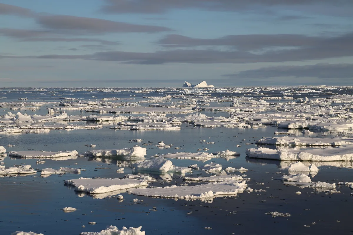 Discover the Antarctic with Polar Journal | Vendée Globe