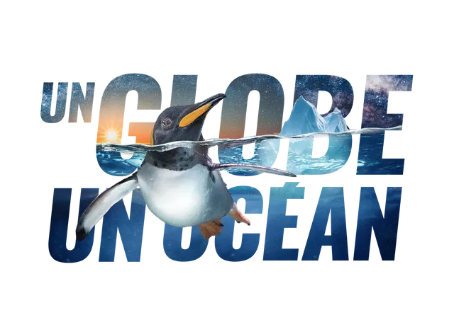 Accueil live | Vendée Globe